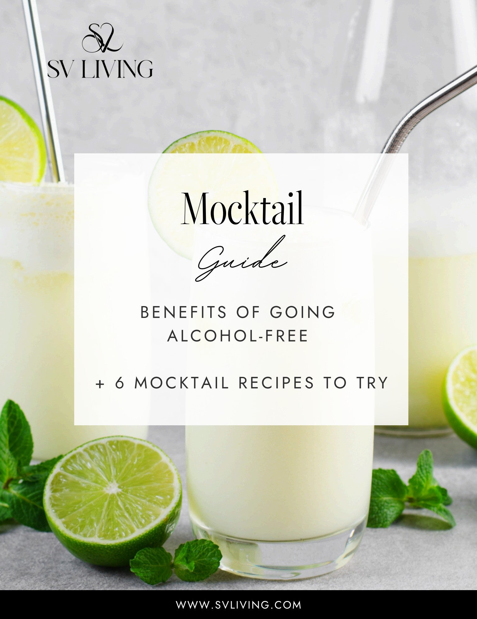Mocktail Guide – SV Living